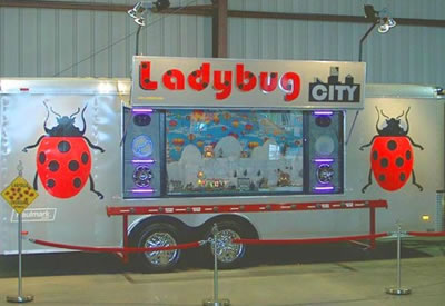 Ladybug Display