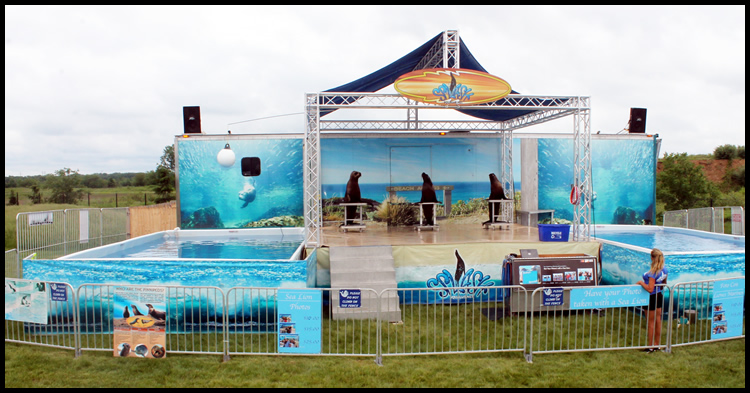 Sea Lion Splash Show