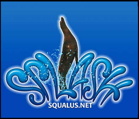 Sea Lion Splash Show