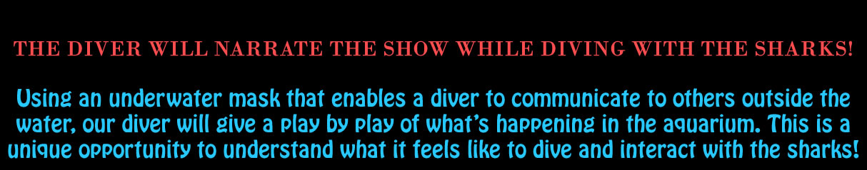 Live shark encounter