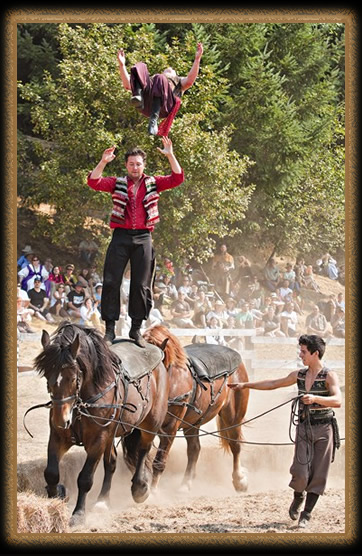 Cavallo Equestrian Arts