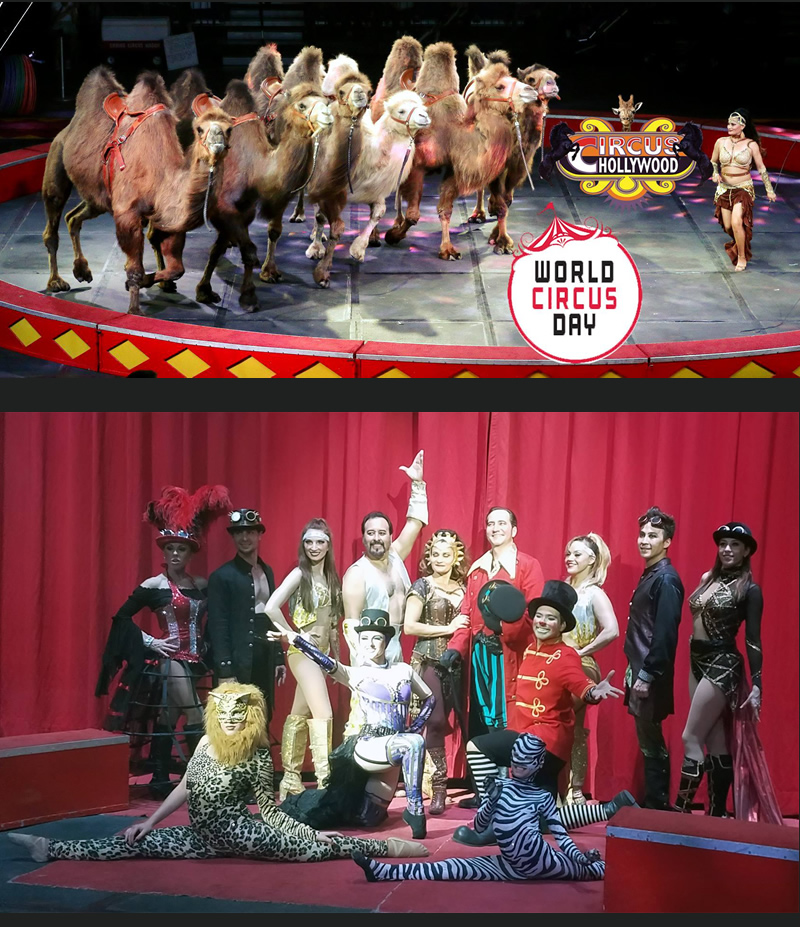 Circus Hollywood