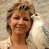 Extreme Raptors Show