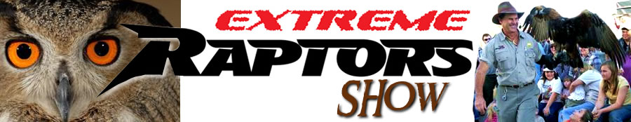 Extreme Raptors Show