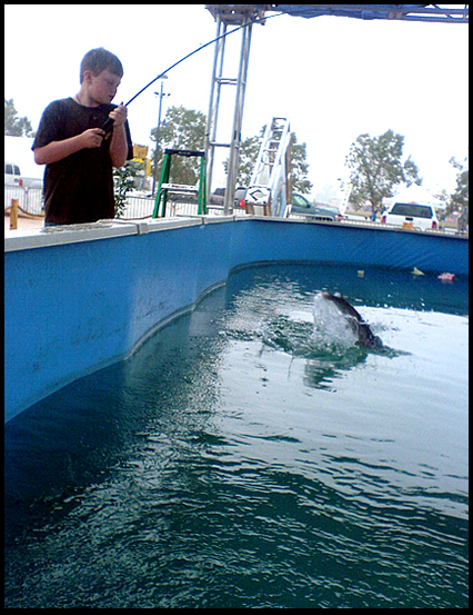 Fishing Friendzy Tanked