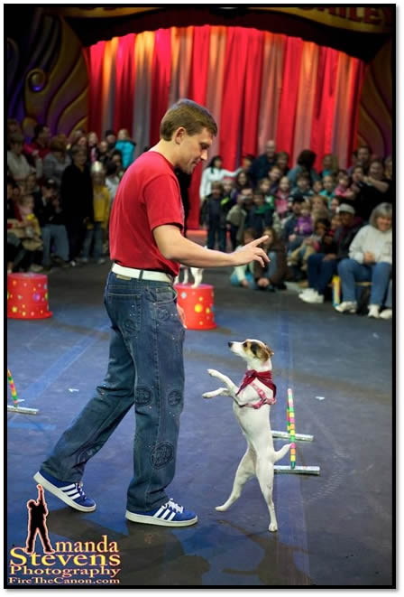 Panfilov's Performing Pets