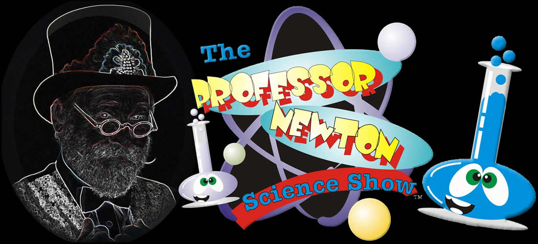 Professor Newton Requirements