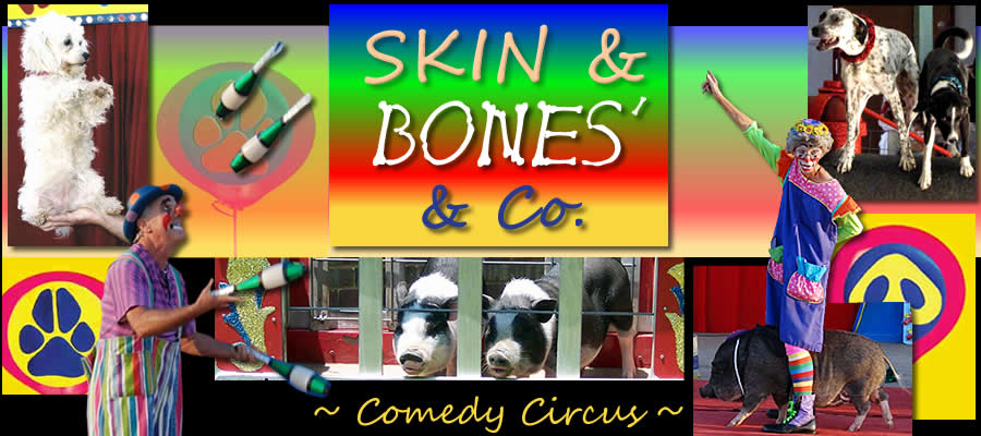 Skin and Bones Comedy Circus