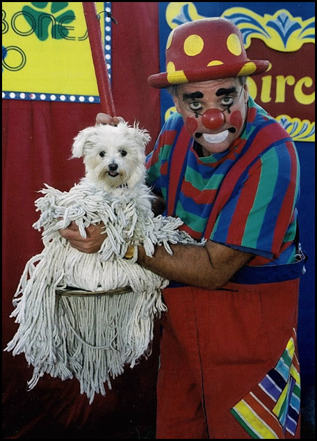 Skin and Bones Comedy Circus