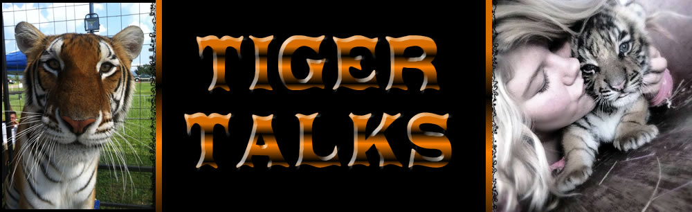 Tiger Talks Requirements