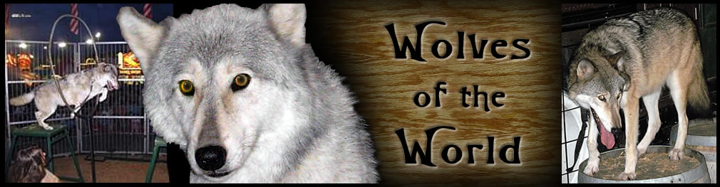 Wolves of the World