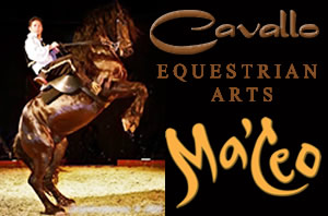 Capitol International Productions, Inc. WELCOME TO OUR WEB SITE - 800 ...