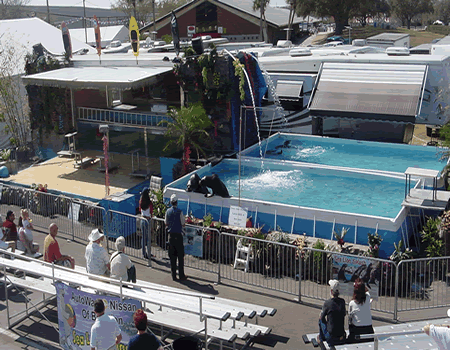 Sea Lion Splash Show